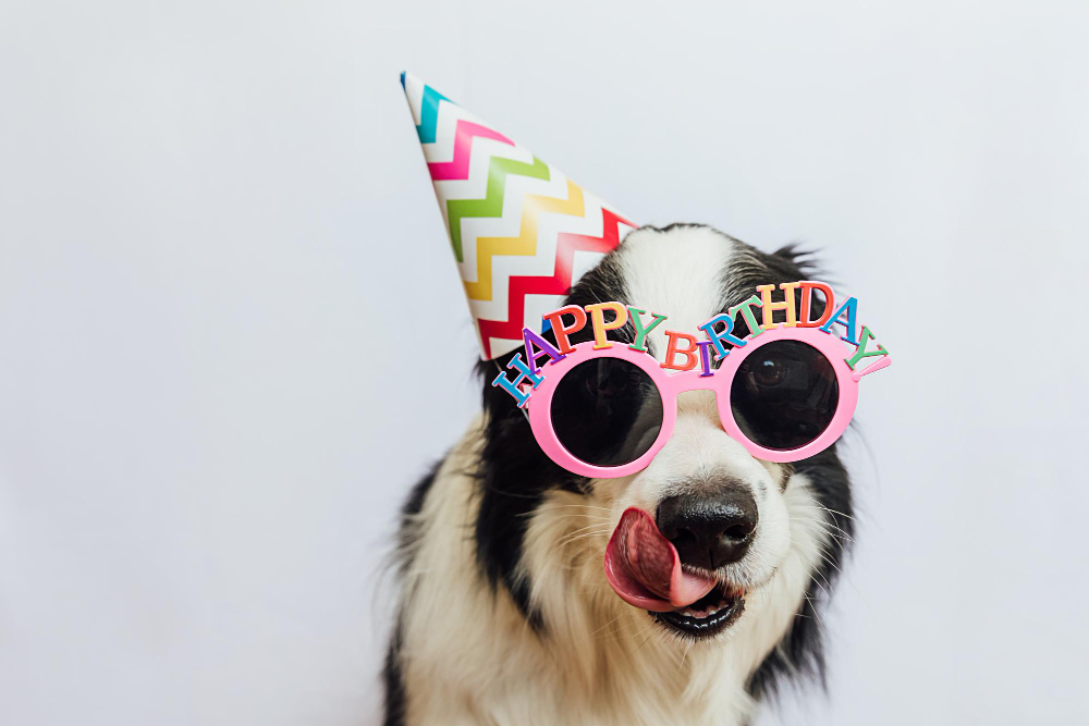 10 textes pour souhaiter un joyeux anniversaire avec humour - Le CyberMag